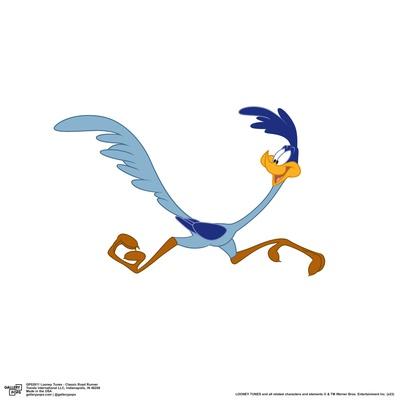 'Gallery Pops Looney Tunes - Classic Road Runner Wall Art' Gallery Pops ...