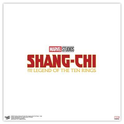 'Gallery Pops Marvel Shang-Chi And The Legend of the Ten Rings - Logo ...