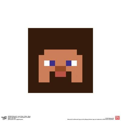 'Gallery Pops Minecraft: Iconic Pixels - Mobs - Steve Wall Art' Gallery ...