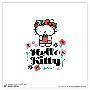 'Gallery Pops Sanrio Hello Kitty - Hello Kitty Spring Cleaning Wall Art ...