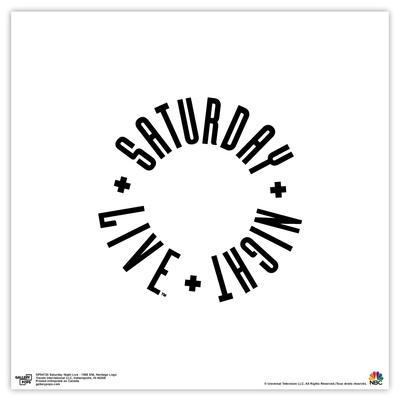 Gallery Pops Saturday Night Live - 1988 SNL Heritage Logo Wall Art ...