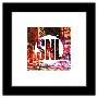 'Gallery Pops Saturday Night Live - New York City SNL Logo Wall Art ...