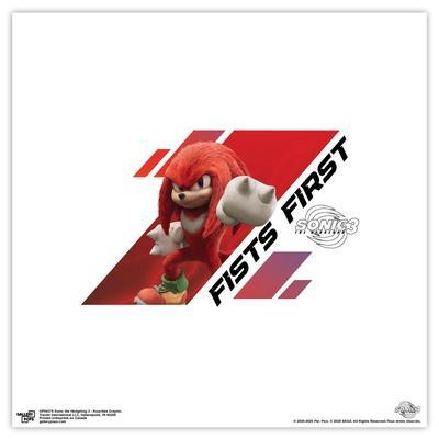 'Gallery Pops Sonic the Hedgehog 3 - Knuckles Graphic Wall Art' Gallery ...