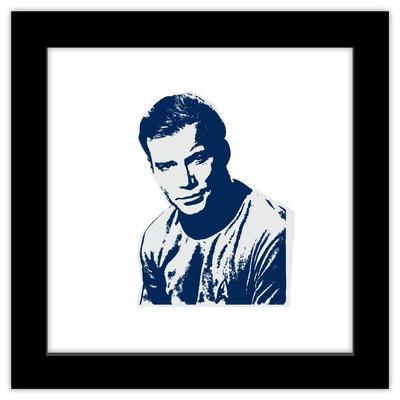 'Gallery Pops Star Trek - Captain Kirk Stylized Portrait Wall Art ...