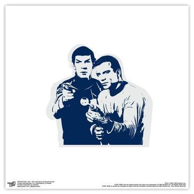 Gallery Pops Star Trek - Kirk and Spock Stylized Portrait Wall Art ...