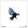 'Gallery Pops Wednesday - Raven Wall Art' Gallery Pops - Trends ...