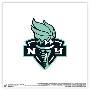 'Gallery Pops WNBA New York Liberty - Primary Logo Wall Art' Gallery ...
