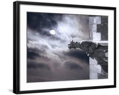 'Gargoyle on Building at Night' Photographic Print - Roger Brooks ...