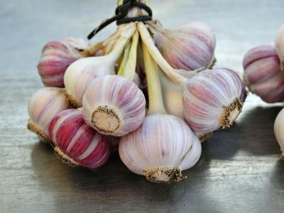 'Garlic' Photographic Print - Mauricio Abreu | AllPosters.com