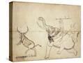 'Gaur Hunt, Page from a Manuscript on Elephant Training, Early 20th ...