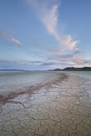 'Geometric patterns in drying mud, Alvord Lake, a shallow alkali lake ...