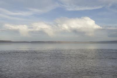 'Geometric patterns in drying mud, Alvord Lake, a shallow alkali lake ...