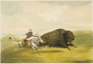 George Catlin Posters for Sale: Prints, Paintings & Wall Art ...