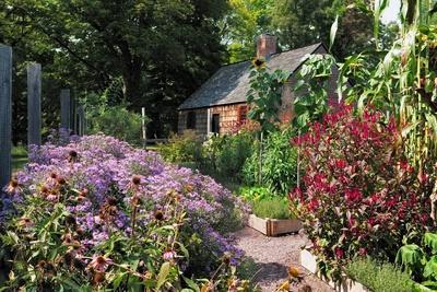 Colonial Era Reproduction Vegetable Garden at the Historic Wicks Family ...