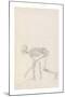 'Human Skeleton, Lateral View (In Crouching Position)' Premium Giclee ...