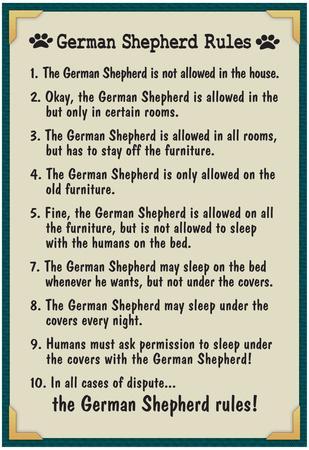 'German Shepherd House Rules' Prints | AllPosters.com