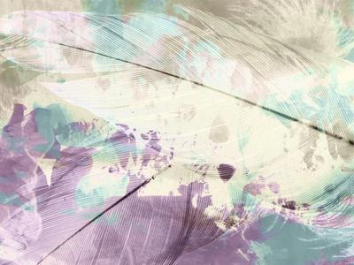 Fading Feathers Giclee Print - GI ArtLab | AllPosters.com