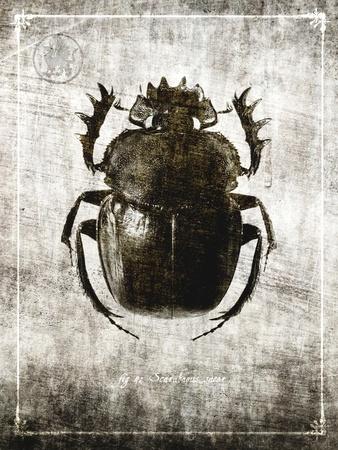 'Macabre Collection I' Giclee Print - GI ArtLab | AllPosters.com