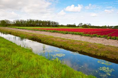 'Irrigation Canal' Photographic Print - gkuna | AllPosters.com