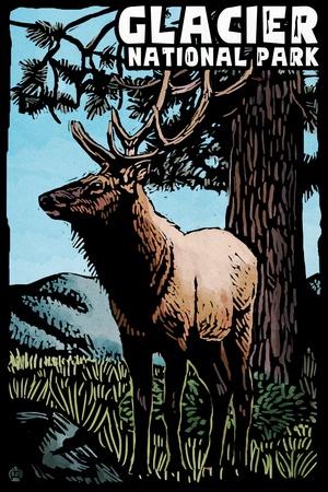 'Glacier National Park - Elk - Scratchboard' Posters - Lantern Press ...