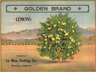'Golden Brand - Riverside, California - Citrus Crate Label' Posters ...