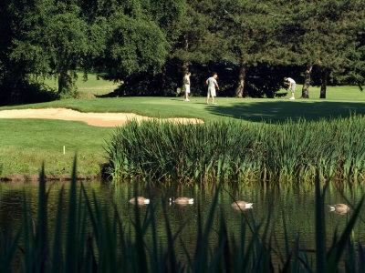 'Golfers on the 17th Hole of the Eastmoreland Golf Course, Portland ...