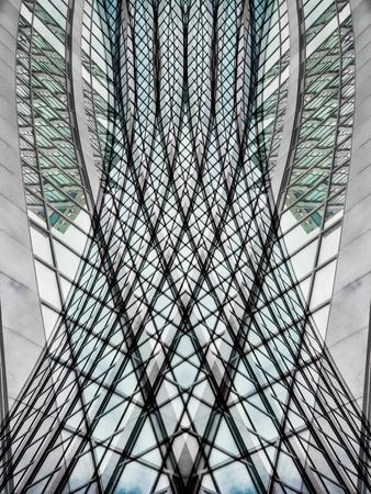 'Goliath's Claw, 2019 (Digital Photograph)' Giclee Print | AllPosters.com