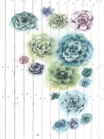 'Shiplap Succulent Cluster I' Posters - Grace Popp | AllPosters.com