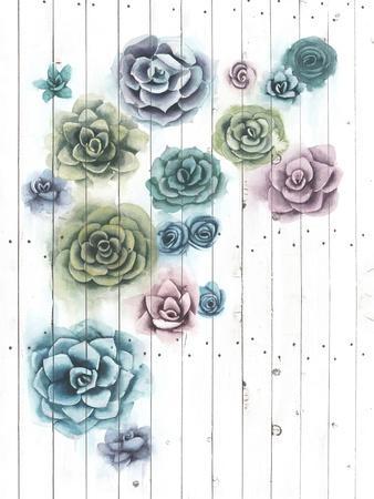 'Shiplap Succulent Cluster II' Posters - Grace Popp | AllPosters.com