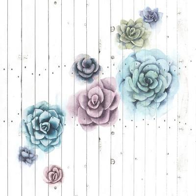'Shiplap Succulent Cluster III' Prints - Grace Popp | AllPosters.com