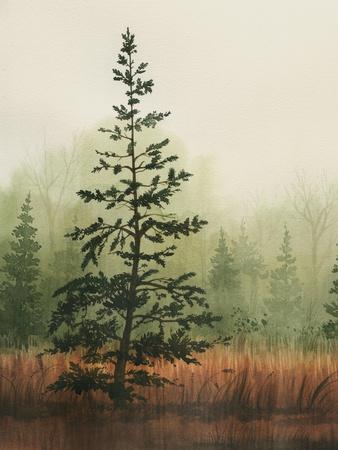 Young Evergreen I Prints - Grace Popp | AllPosters.com
