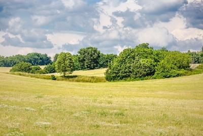 'Grassland and meadow field landscape. Green nature scenery' Photo ...