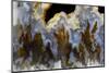 'Graveyard Point Plume Agate, Oregon' Photographic Print - Darrell ...