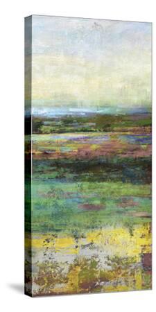 'Green Fields II' Stretched Canvas Print - Paul Duncan | AllPosters.com