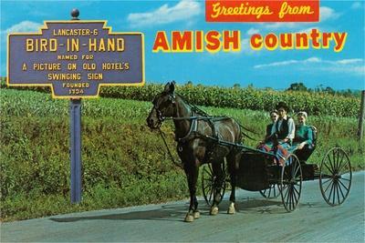 Greetings from Amish Country Prints | AllPosters.com