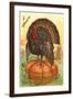 Greetings, Turkey on Pumpkin Prints | AllPosters.com