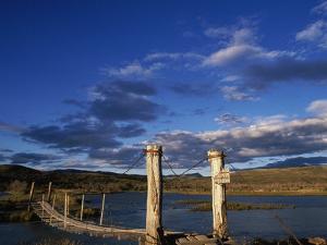 Greg Epperson Posters, Prints, Paintings & Wall Art | AllPosters.com