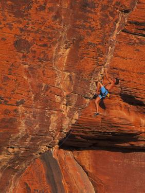 Greg Epperson Posters, Prints, Paintings & Wall Art | AllPosters.com