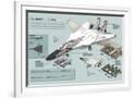 'grumman f-14 Tomcat.' Photographic Print | AllPosters.com