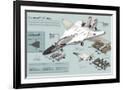 'grumman f-14 Tomcat.' Photographic Print | AllPosters.com