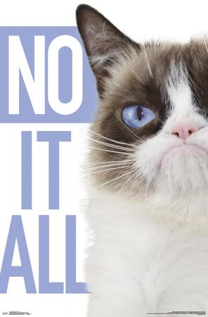 No Go Away Grumpy Cat