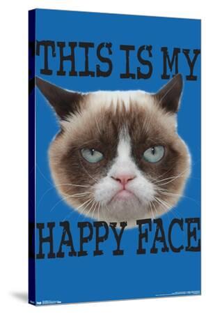 'Grumpy Cat - Face' Stretched Canvas Print | AllPosters.com