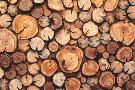 Abstract Photo of a Pile of Natural Wooden Logs Background, Top View ...