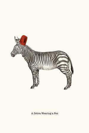'Zebra In A Fez' Giclee Print - Gwen Aspall | AllPosters.com