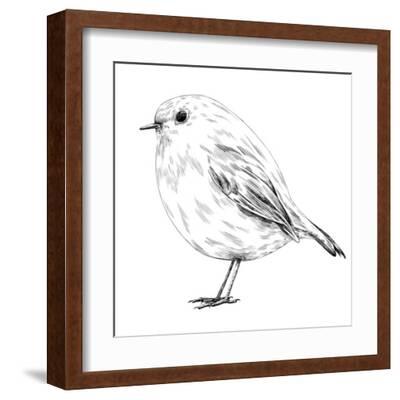 'Hand-Drawn Robin' Prints - aggressor | AllPosters.com