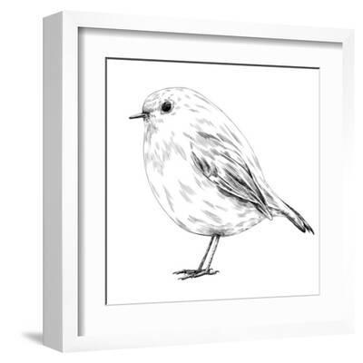'Hand-Drawn Robin' Prints - aggressor | AllPosters.com