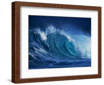 'Hang Ten' Photographic Print - Art Wolfe | AllPosters.com