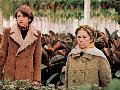 'Harold And Maude, Bud Cort, Ruth Gordon, 1971' Photo | AllPosters.com