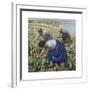 'Tulip Pickers' Premium Giclee Print - Harold Harvey | AllPosters.com