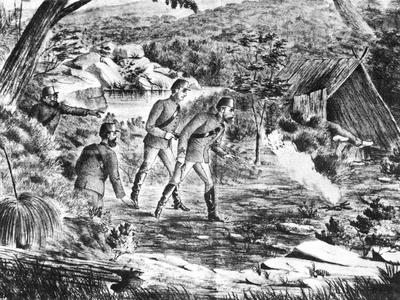 'Harry Power, Australian Bushranger Is Captured' Posters | AllPosters.com